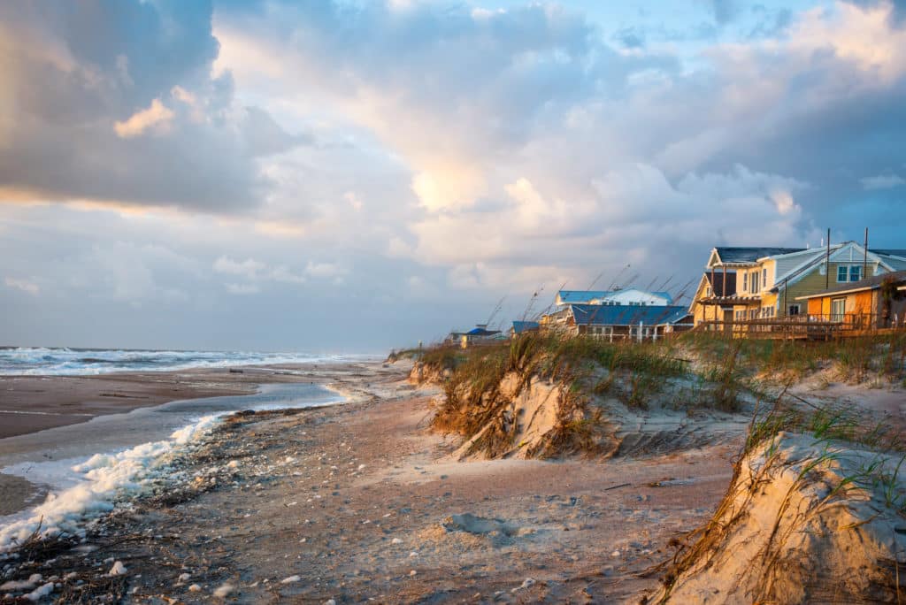 Gallery - FirstCoast.Life
