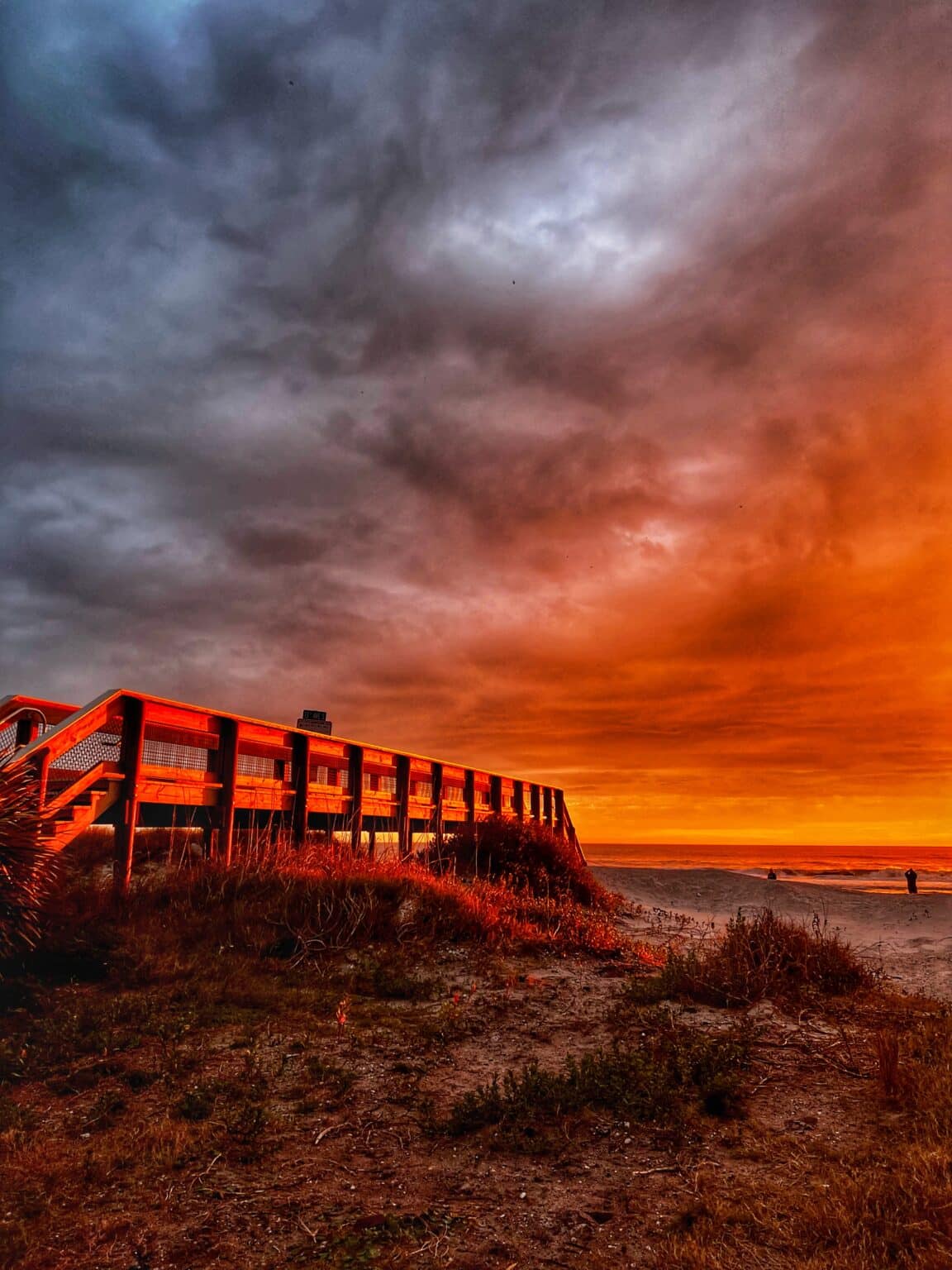 Home - FirstCoast.Life